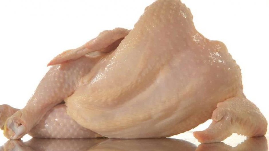 LOS PELIGROS DE LAVAR EL POLLO « Noticias cde